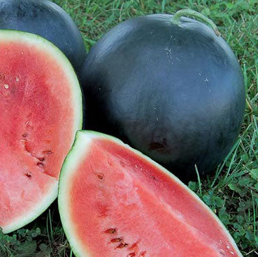 Melons – Western Reserve Heritage Seed Co.